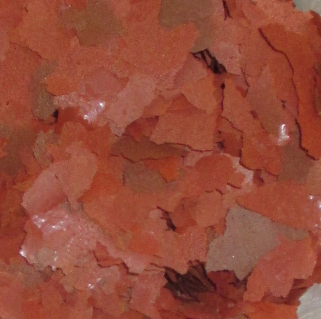 Seafood Delight Flake | Everything Aquatic